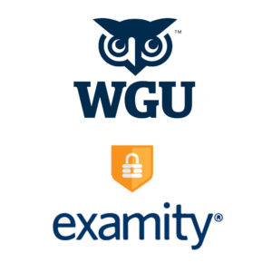 Pay Someone To Take Your WGU Proctored Final Exam